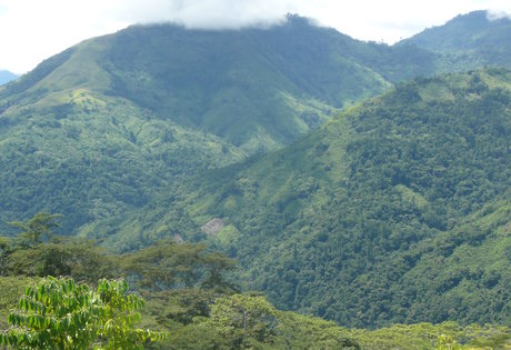 Accessing remote areas core challenge of Anglican ministry in Papua New ...