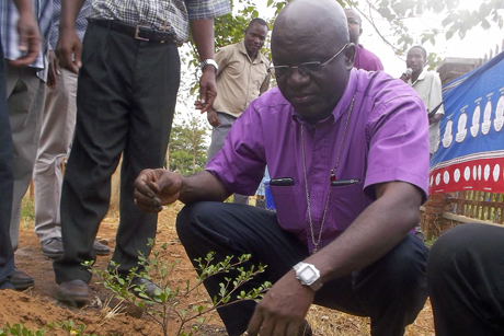 Archbishop Albert Chama’s challenge for a “green and clean” province