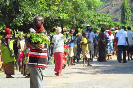 Anglican Church of Burundi to plant 10 million trees in five years